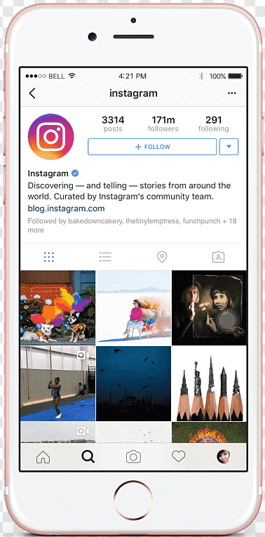 Lading Page Instagram